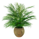 PLANTS GREENERY – Diane James Home